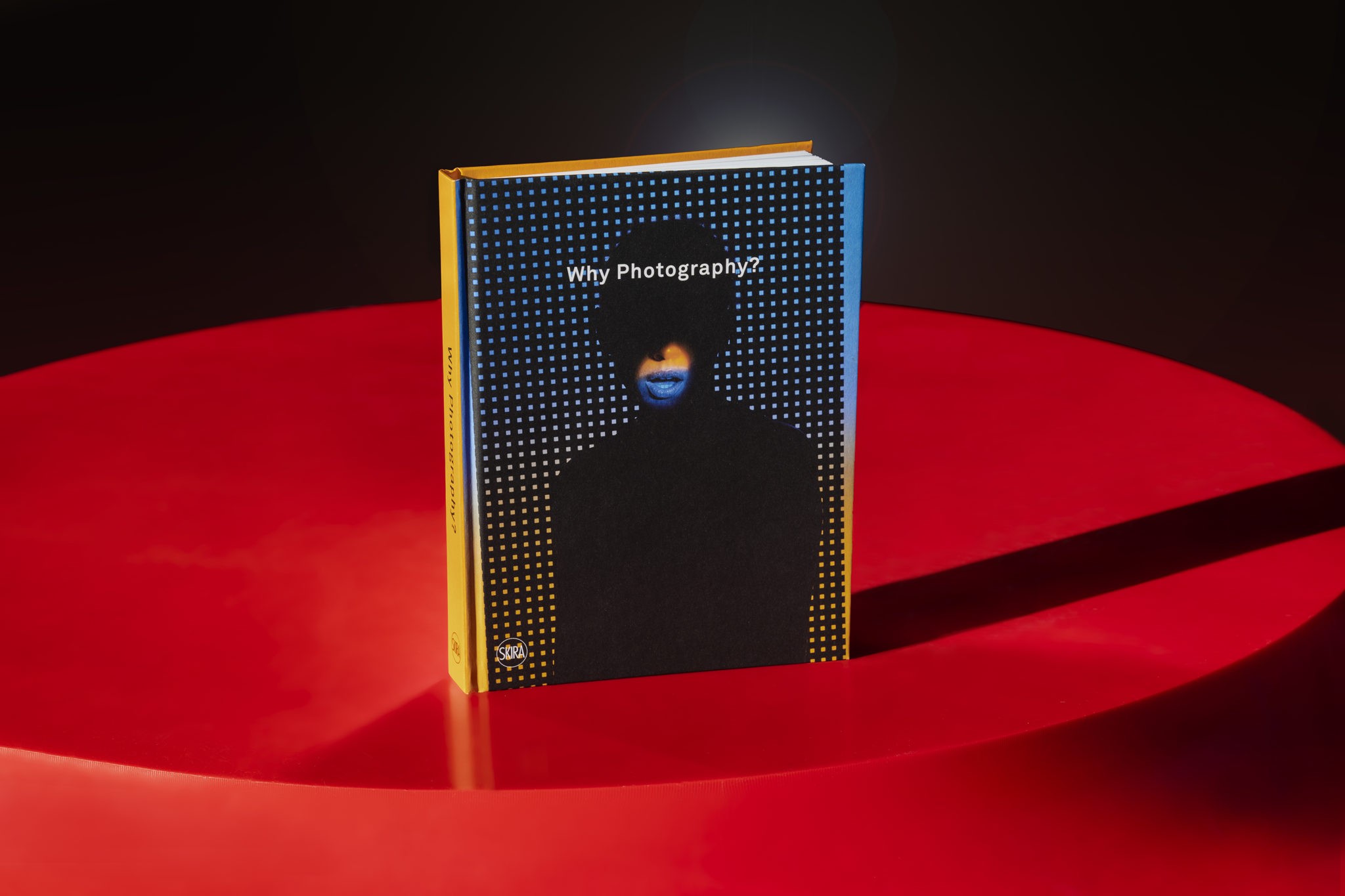 Brian Sholis · Why Photography?