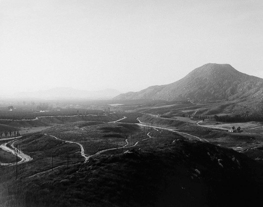 Brian Sholis · Our Poor Perishable World