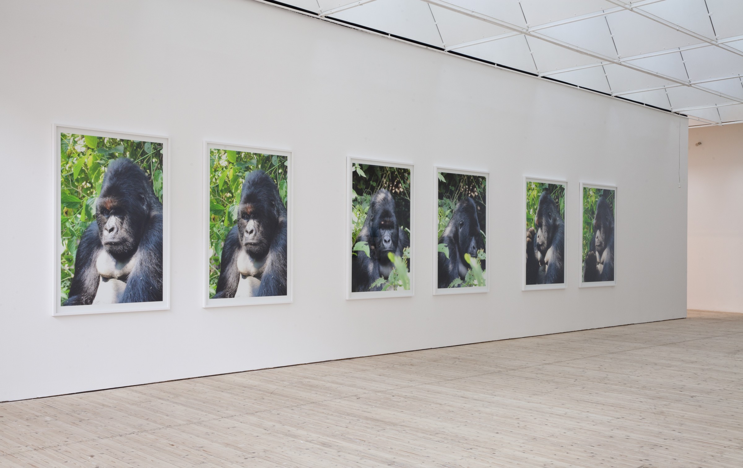 Brian Sholis · Subjektiv